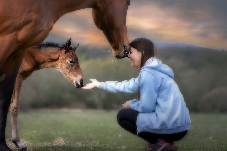 Achavandra Horse Riding NC500 Stables, Lessons, Holidays Pony Treking