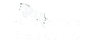 Achavandra Horse Riding NC500 Stables, Lessons, Holidays Pony Treking